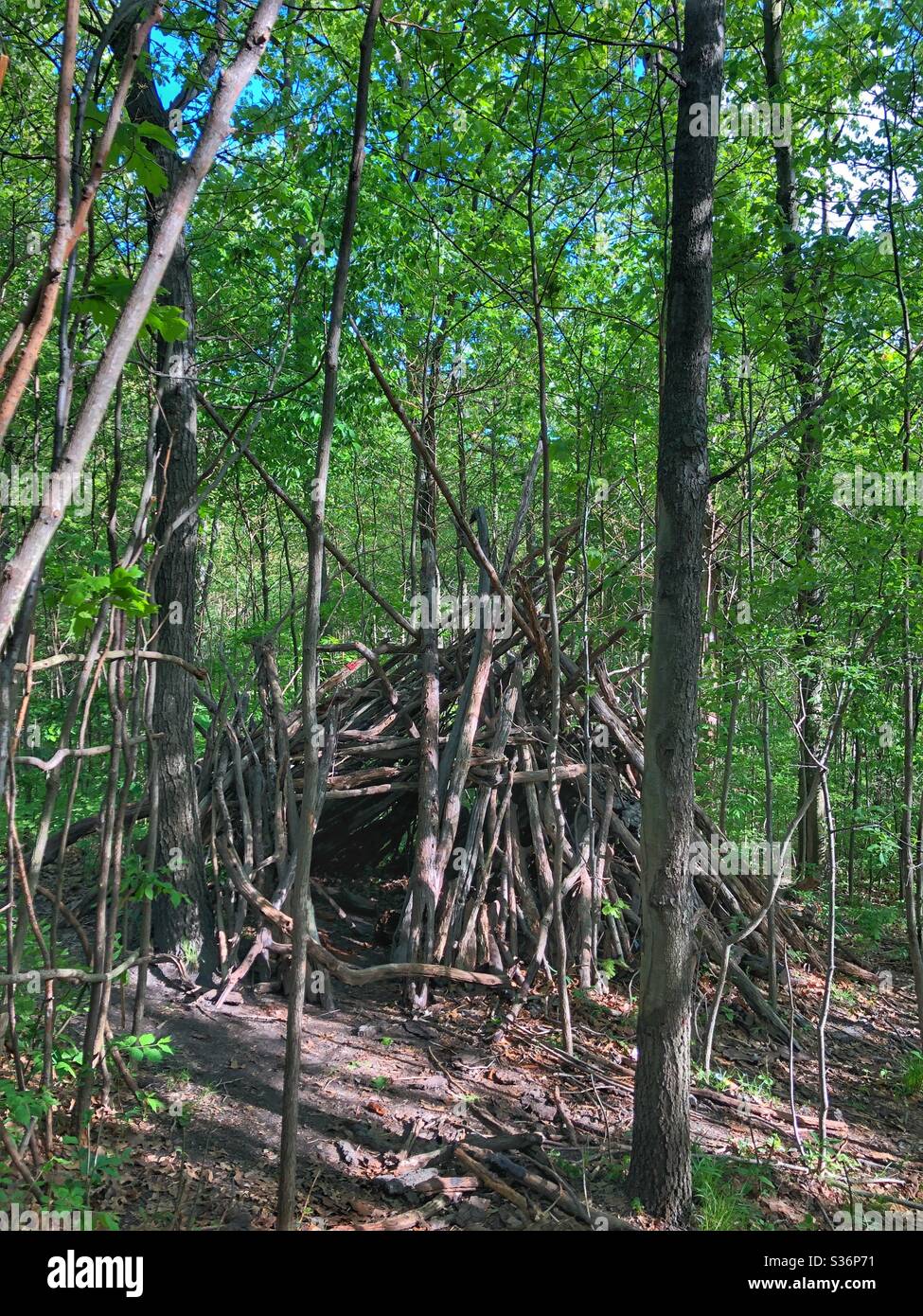 A hideaway in the woods Stock Photo - Alamy