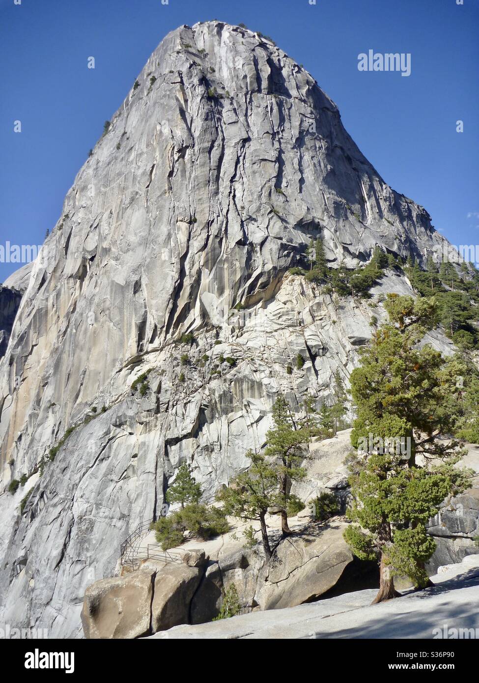 Massive granite rock face dwarfing ancient pine trees in Yosemite ...