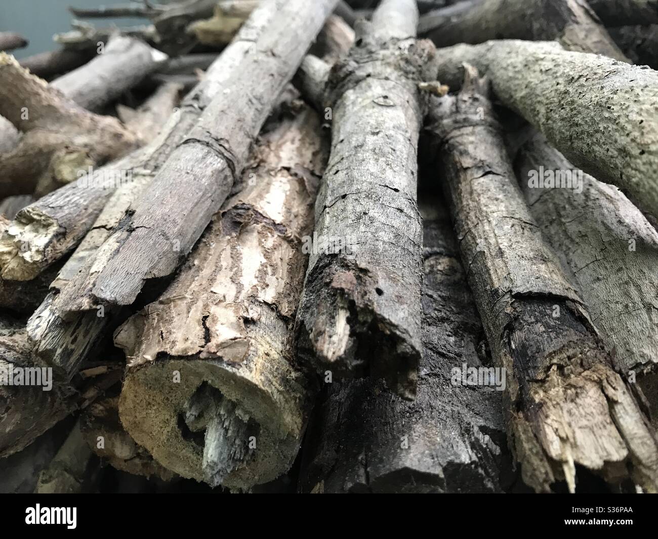 Log timber hi-res stock photography and images - Alamy