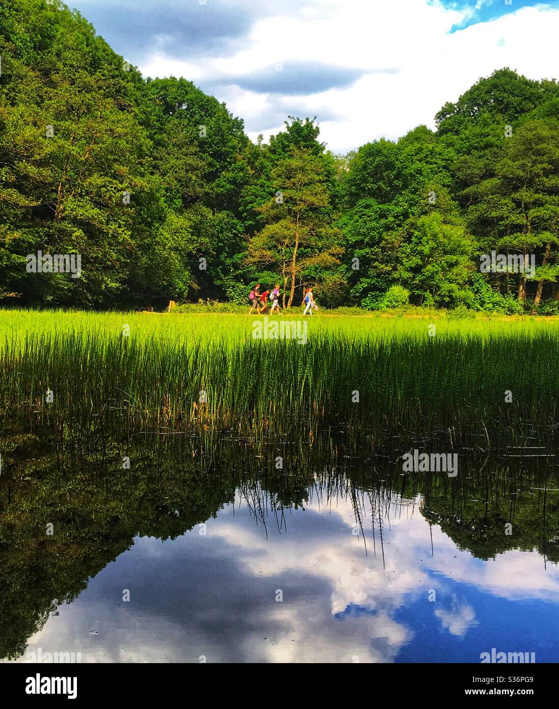 Rivelin valley hi-res stock photography and images - Alamy