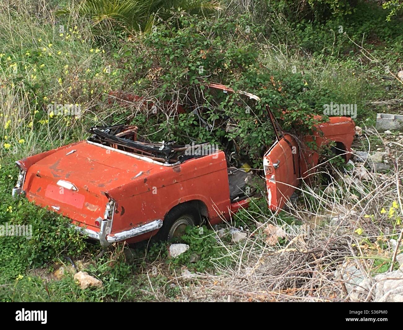 Car planter hi-res stock photography and images - Alamy
