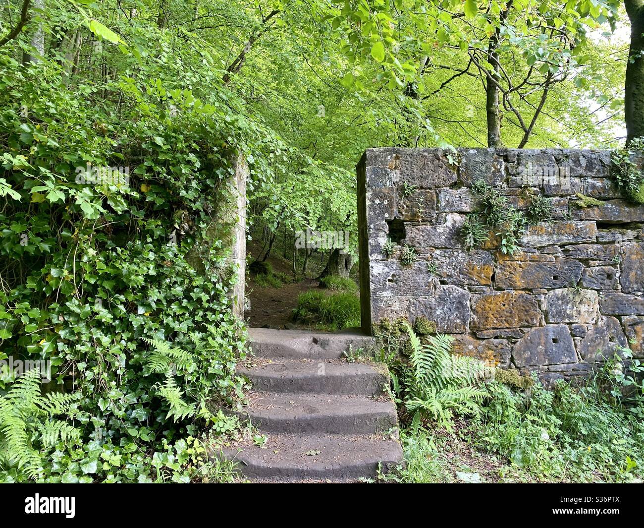 Mystical gate hi-res stock photography and images - Alamy