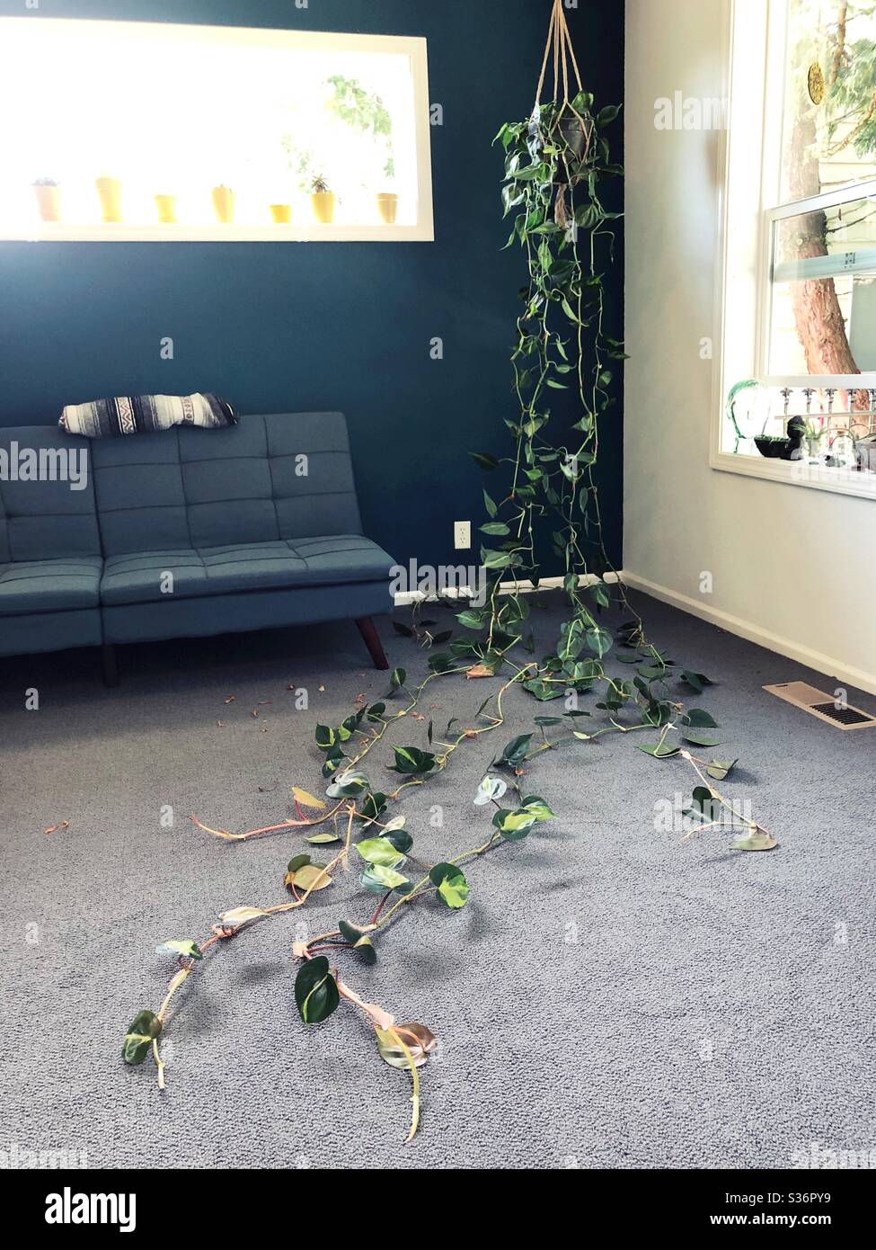 Long plant pot hi-res stock photography and images - Alamy