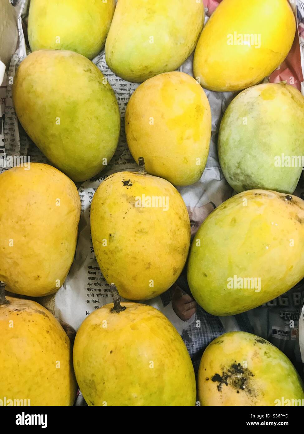 Ripe Alphonso indian mangoes air flown to Singapore Stock Photo - Alamy
