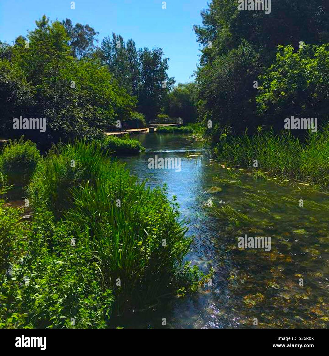 Crystal clear stream Stock Photo - Alamy
