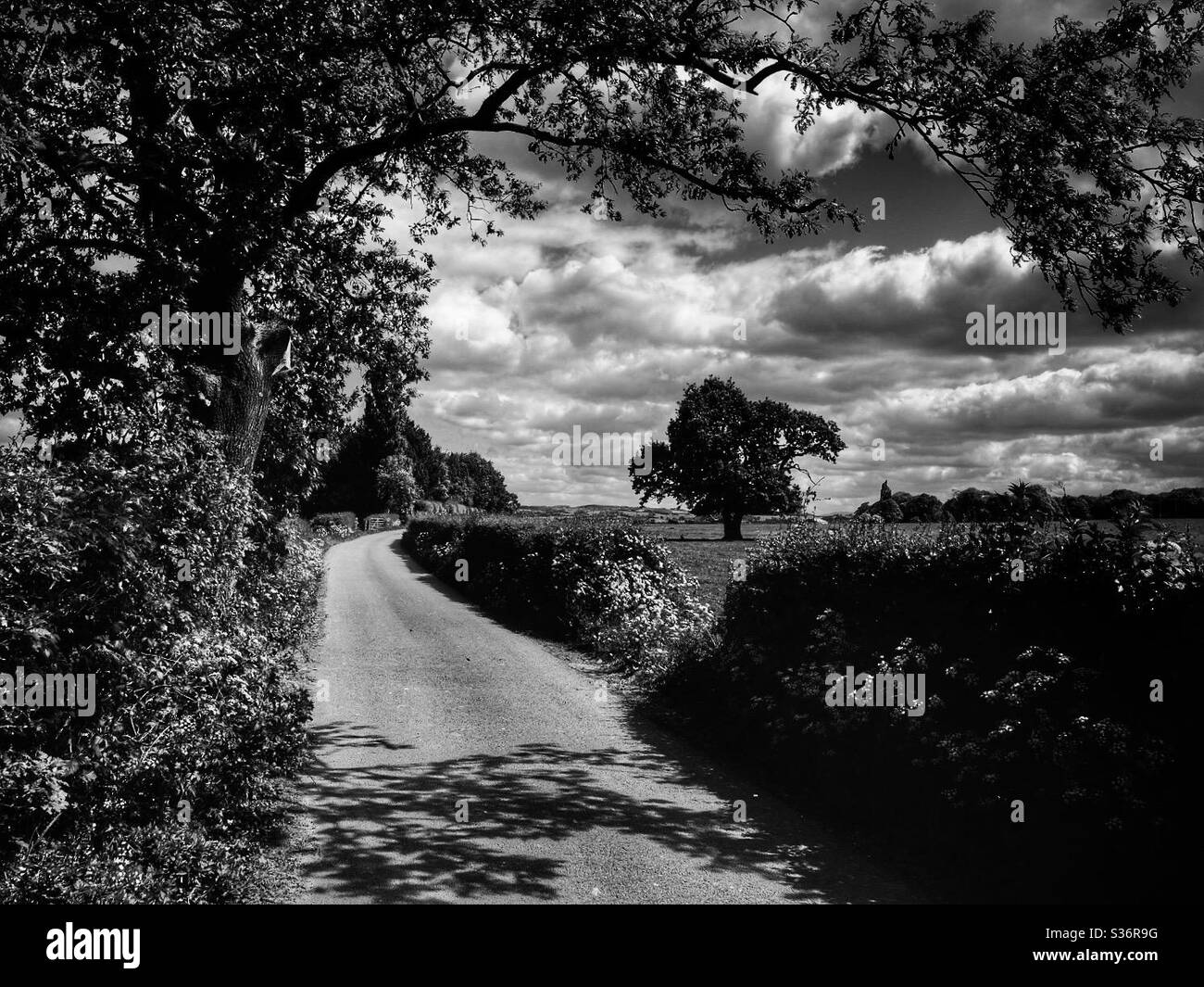 Rural Lane In Monochrome Stock Photo - Alamy