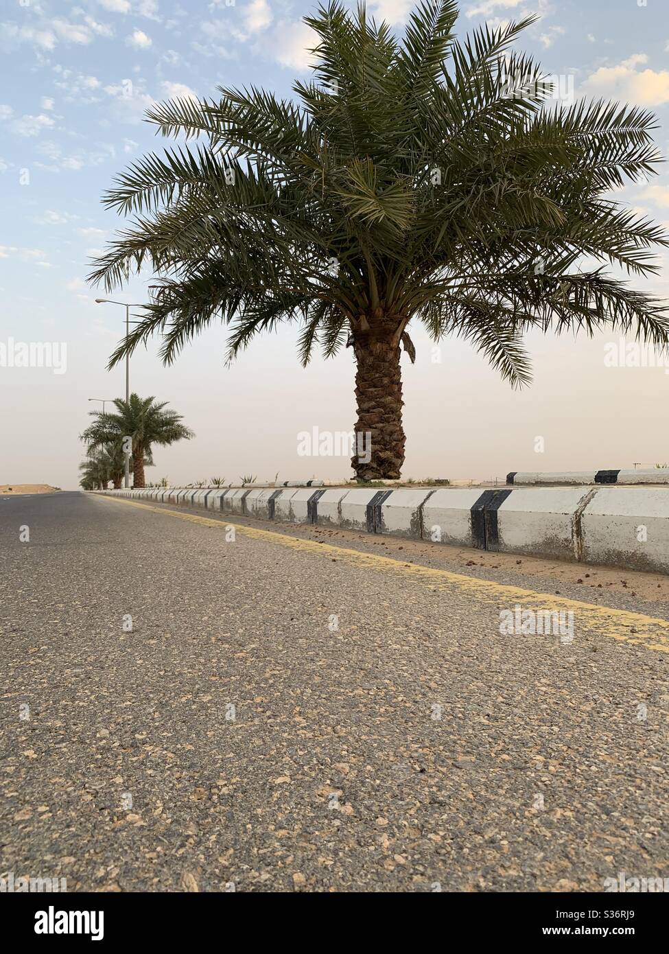 Arabian street hi-res stock photography and images - Alamy