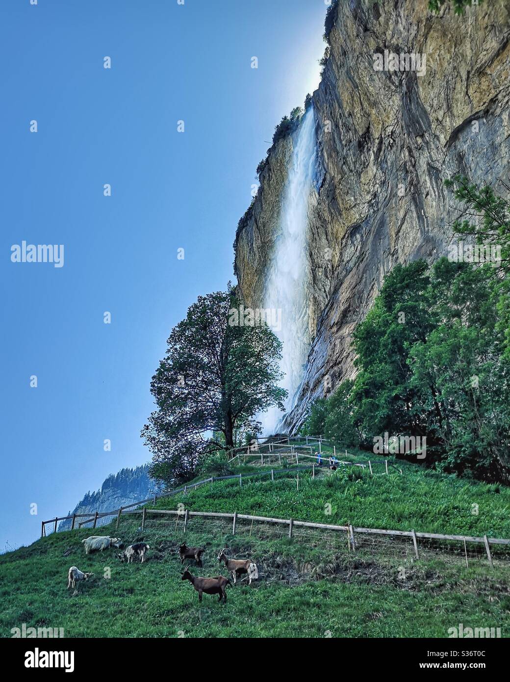 Trummelbach falls, Lauterbrunnen, Switzerland Stock Photo - Alamy