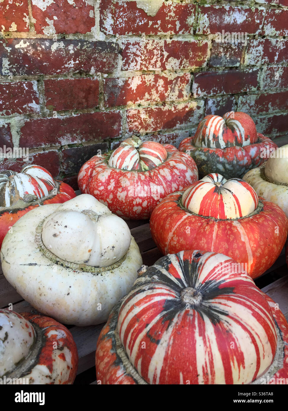 Turks turban hi-res stock photography and images - Alamy