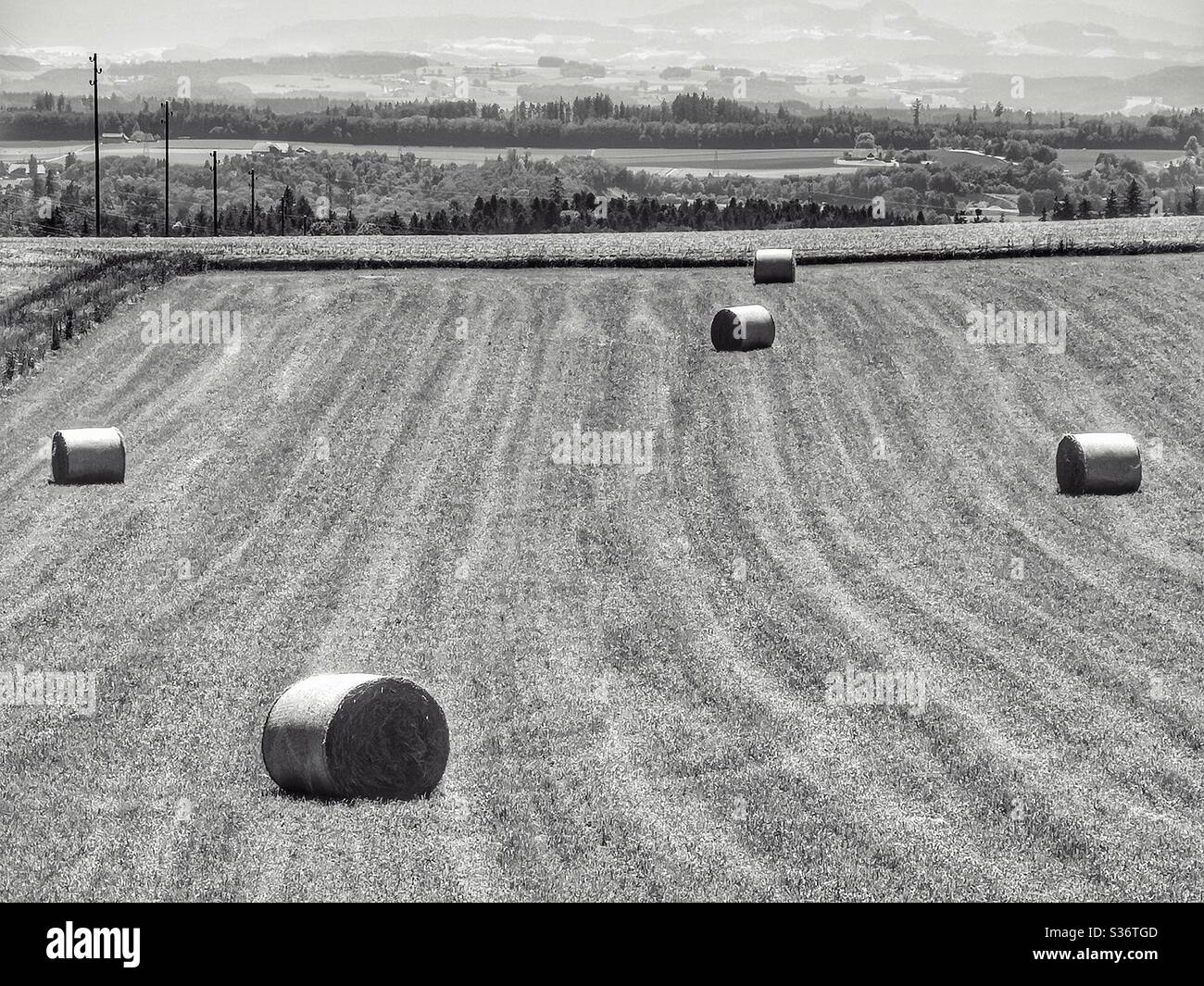 Hay rolls hi-res stock photography and images - Alamy