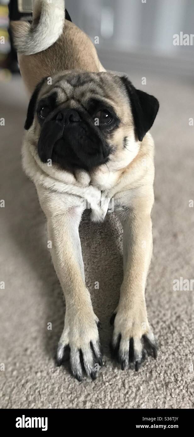 Boy stretch hi-res stock photography and images - Alamy