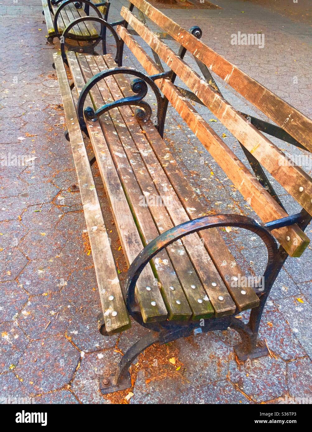 A public wooden bench in New York City covered with bird droppings, USA ...