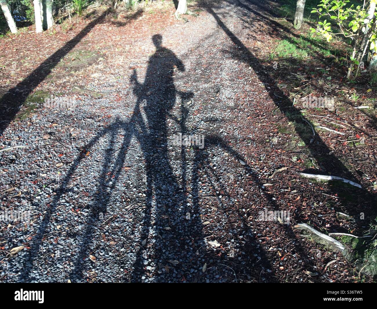 Bike Shade High Resolution Stock Photography and Images - Alamy