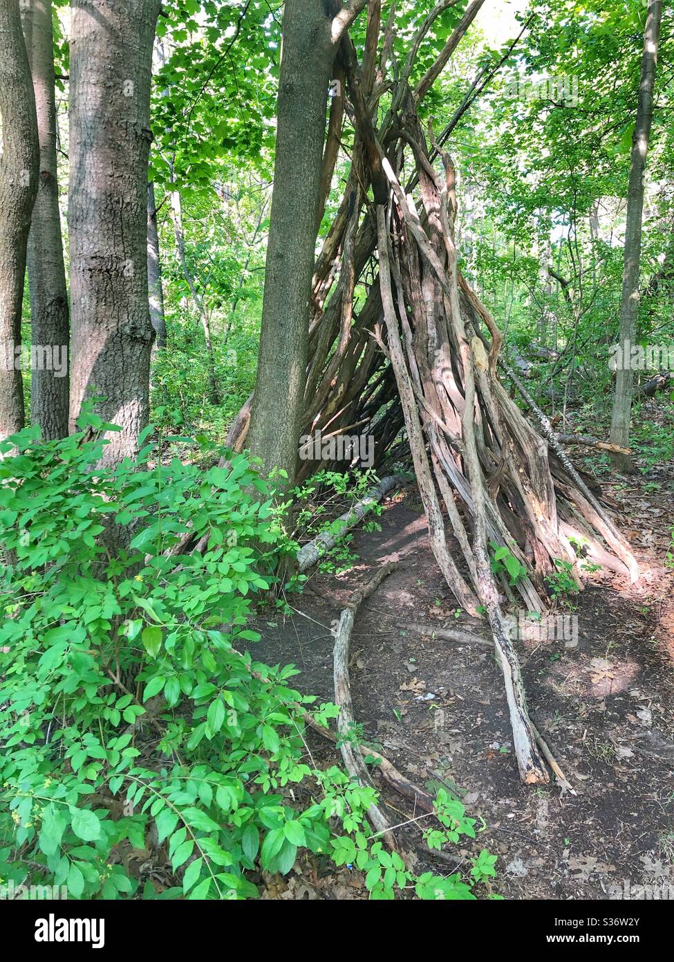 A secret hideaway in the woods Stock Photo - Alamy