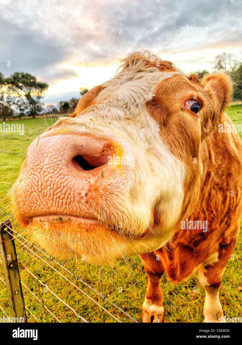 Friendly face hi-res stock photography and images - Alamy