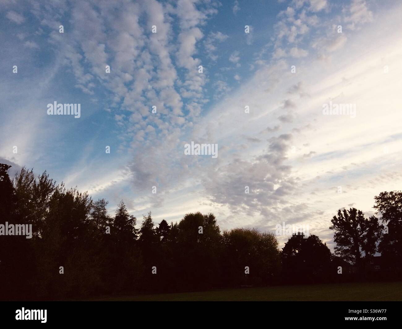 Dramatic sky with trees hi-res stock photography and images - Alamy