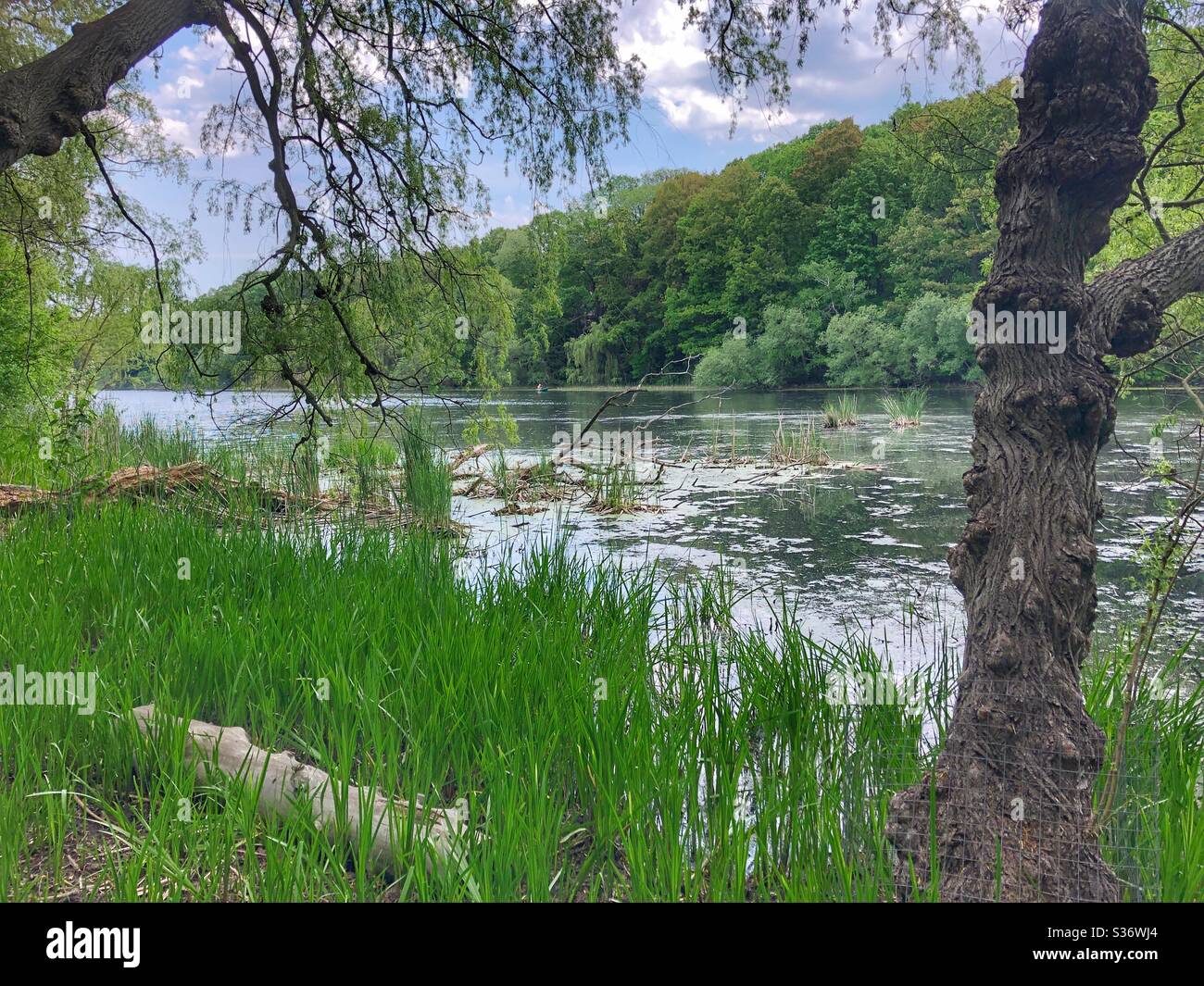 Tranquility of nature hi-res stock photography and images - Alamy