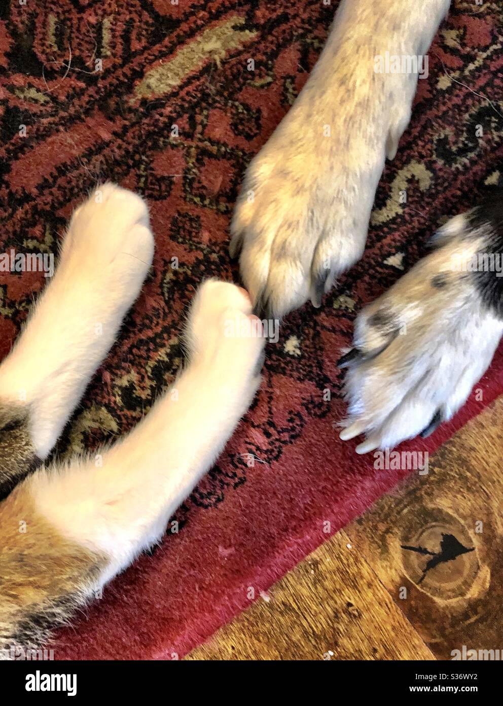 Brothers feet hi-res stock photography and images - Alamy