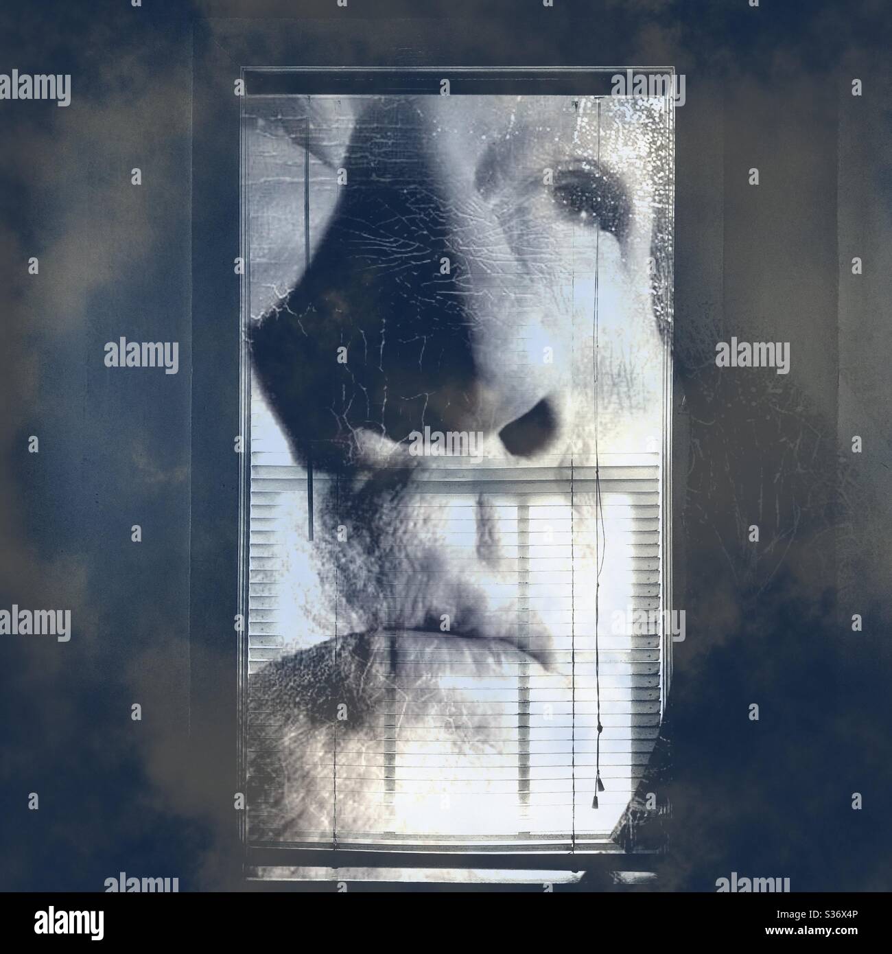 The man’s face in the window at the bluish night set Stock Photo - Alamy