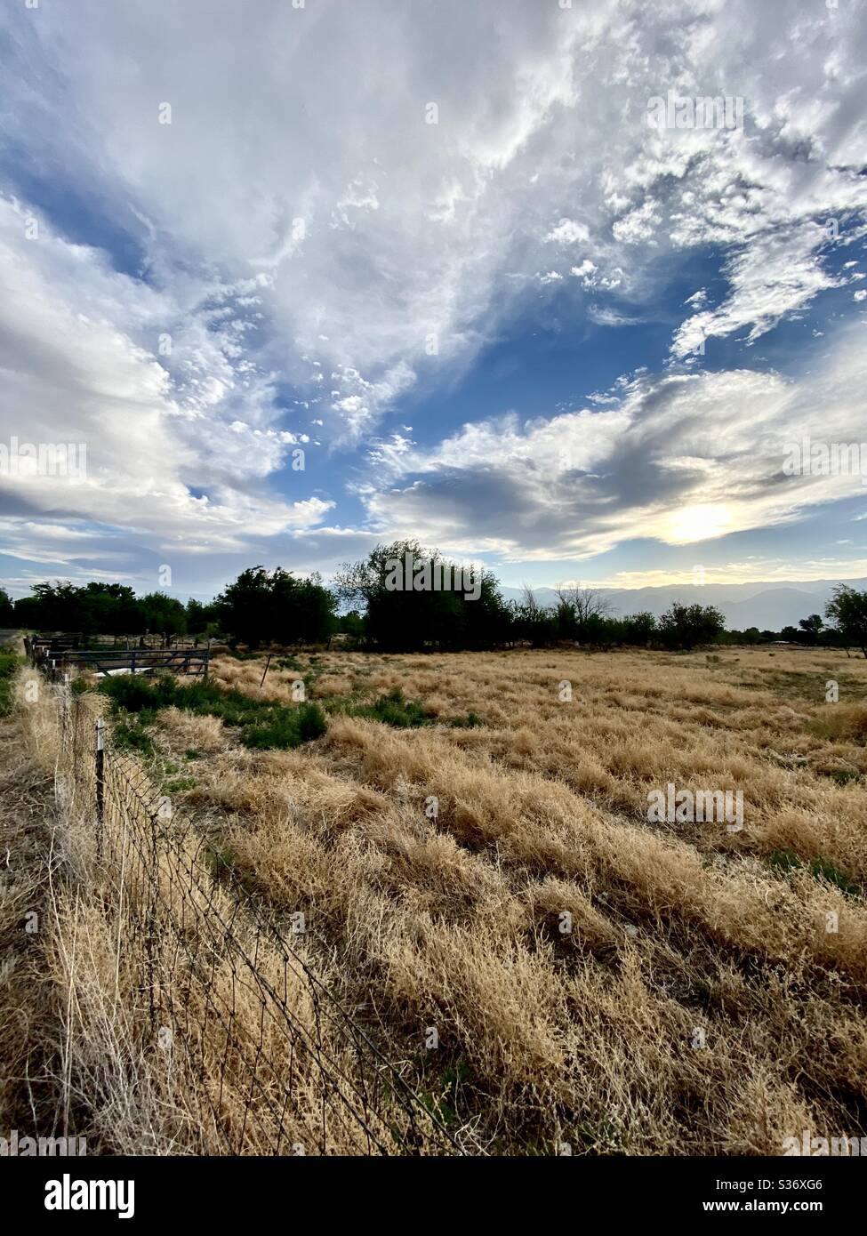 Pastoral vista hi-res stock photography and images - Alamy