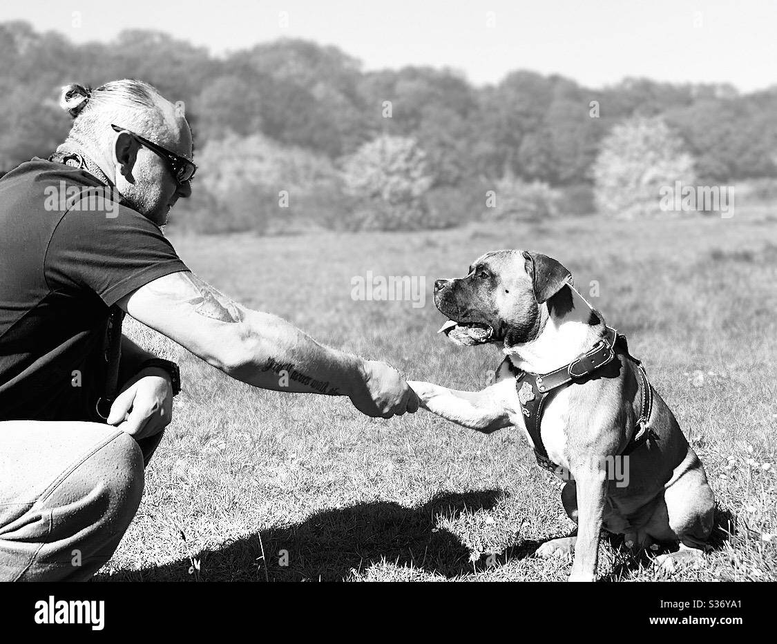 best-friendship-ever-stock-photo-alamy