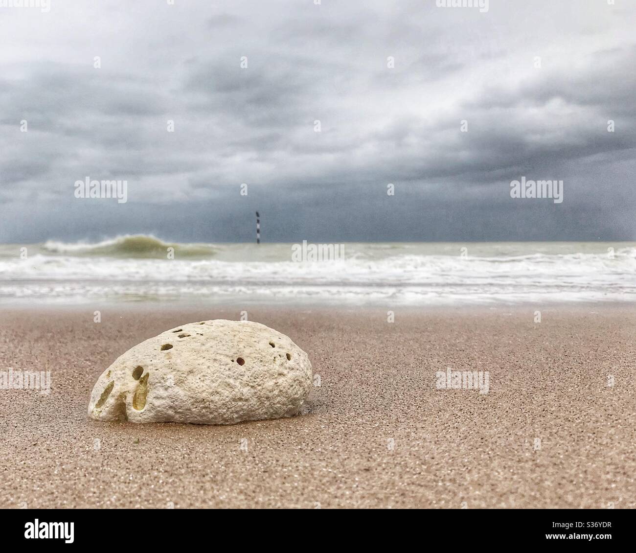 Washed up stone Stock Photo - Alamy