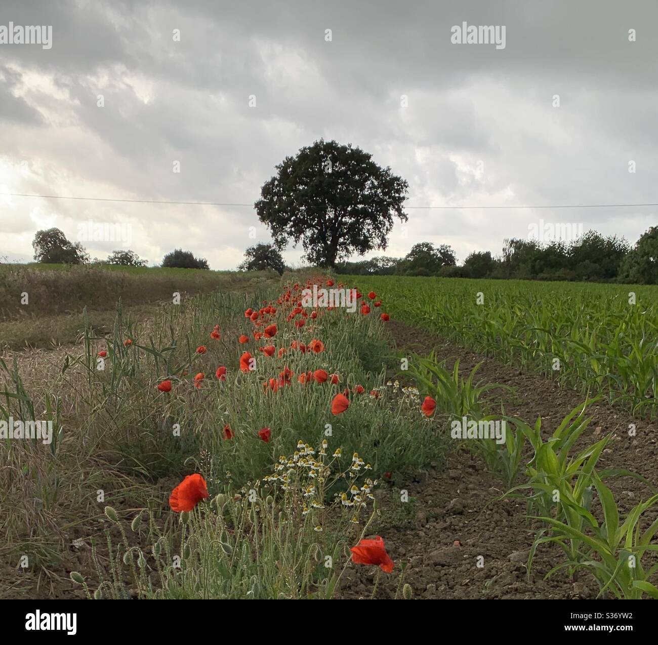 Grey skies hi-res stock photography and images - Alamy