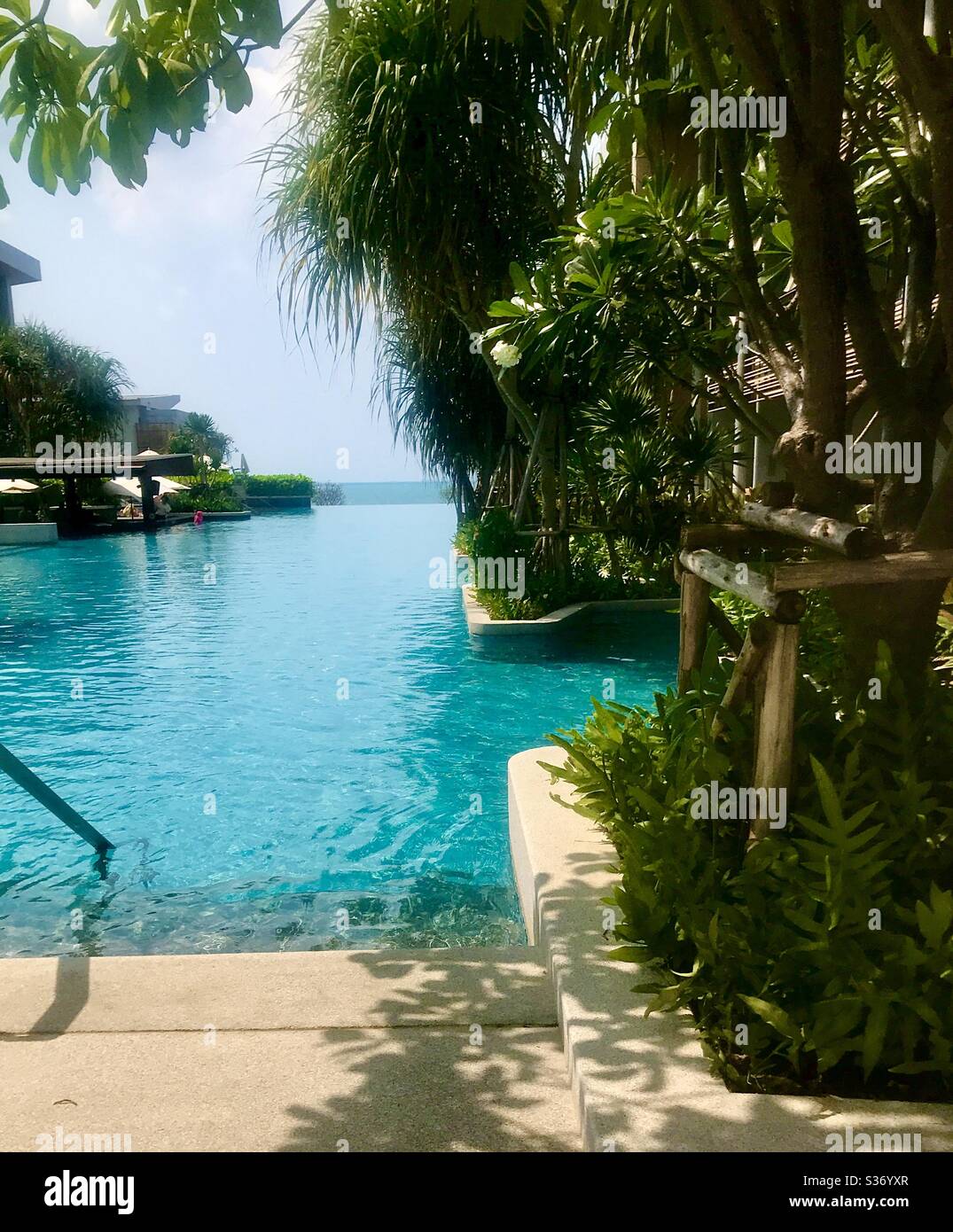 Life pool hi-res stock photography and images - Alamy