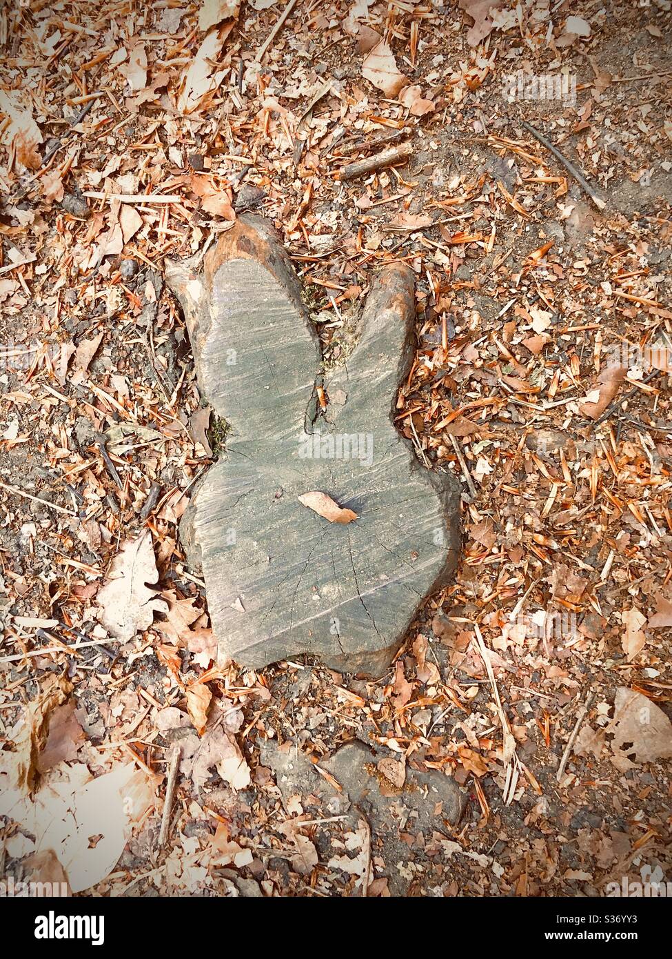 Rabbit head hi-res stock photography and images - Alamy