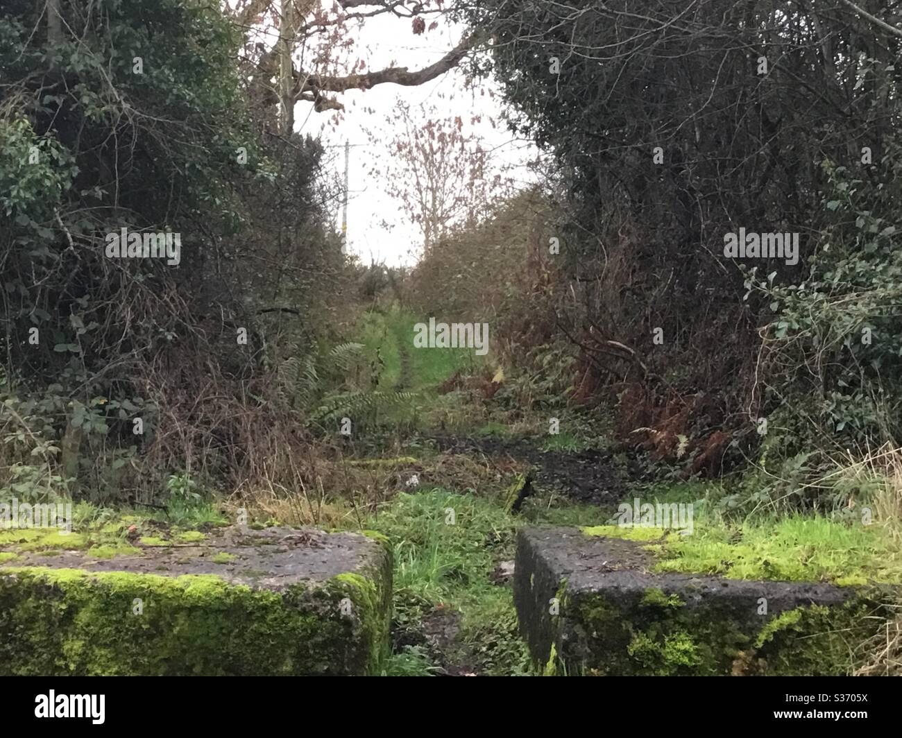 Old roadway hi-res stock photography and images - Alamy