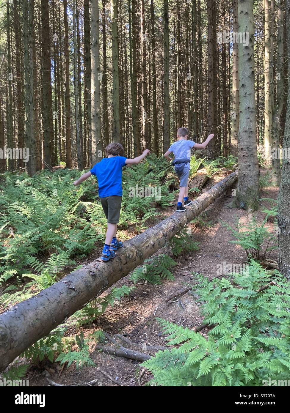 Children balancing on fallen tree hi-res stock photography and images ...
