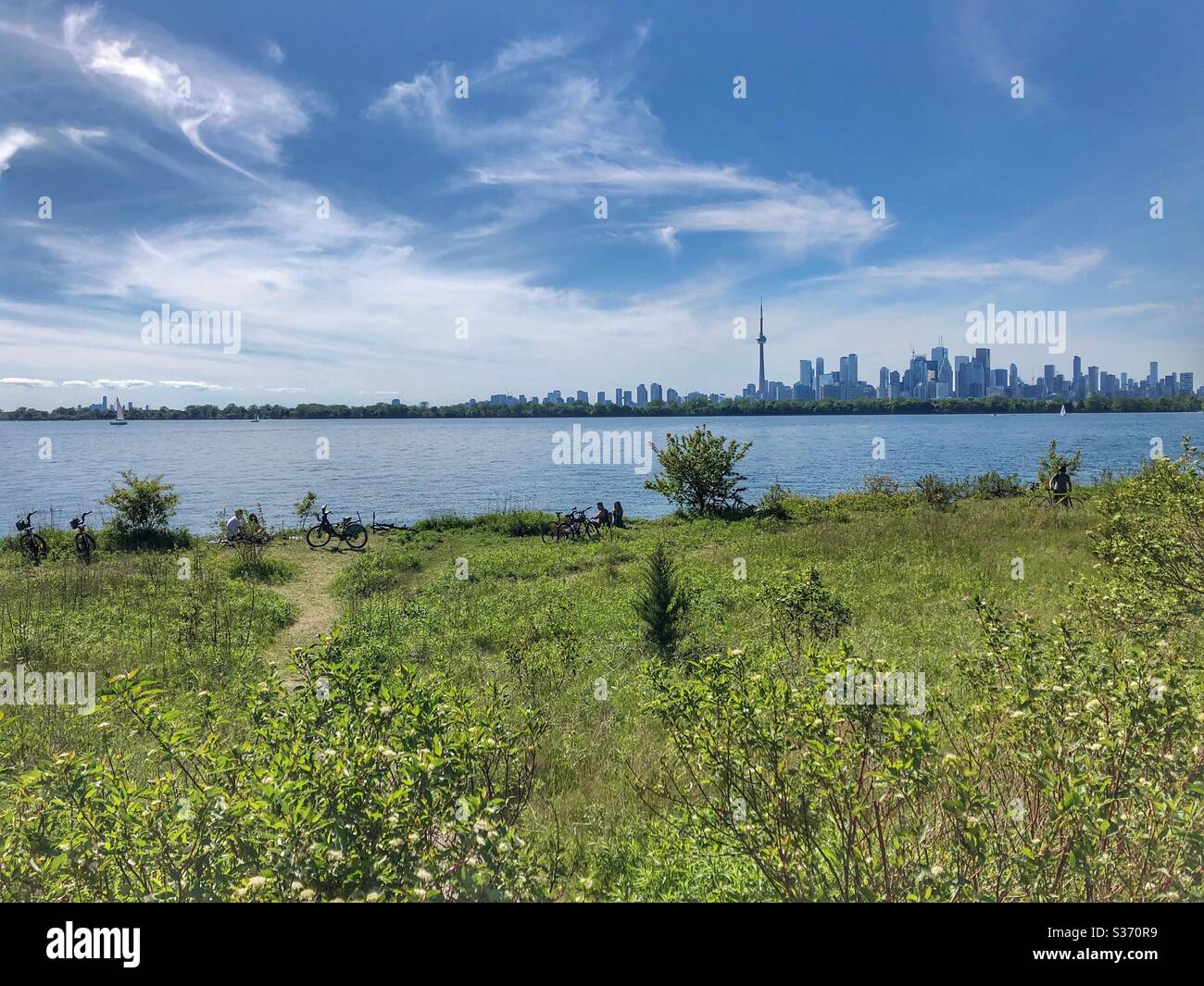 Plants toronto hi-res stock photography and images - Alamy