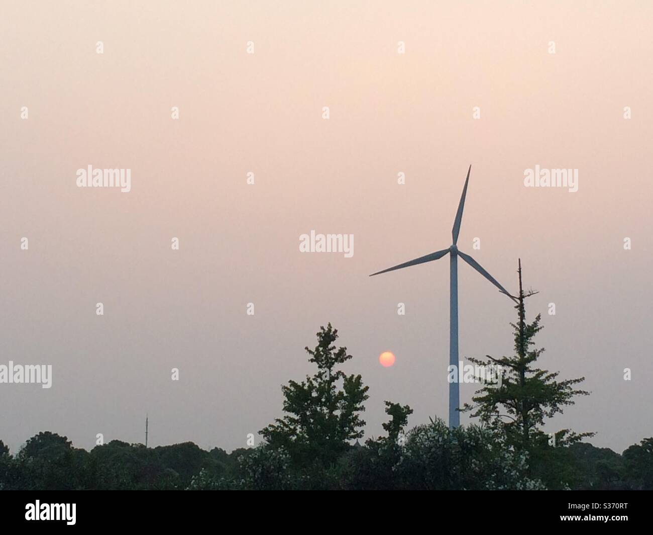 Sun trap hi-res stock photography and images - Alamy