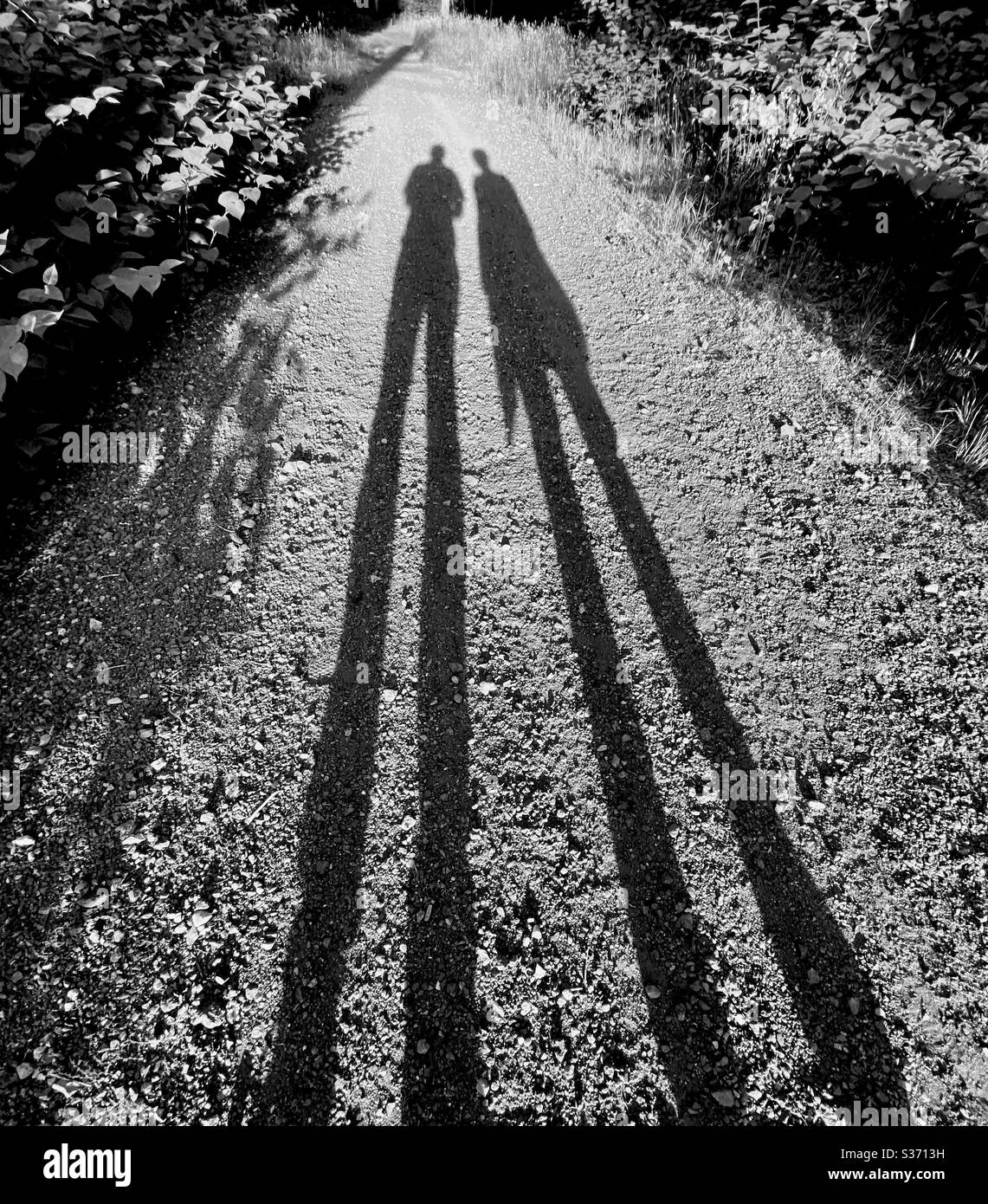 Pathway shadows hi-res stock photography and images - Alamy