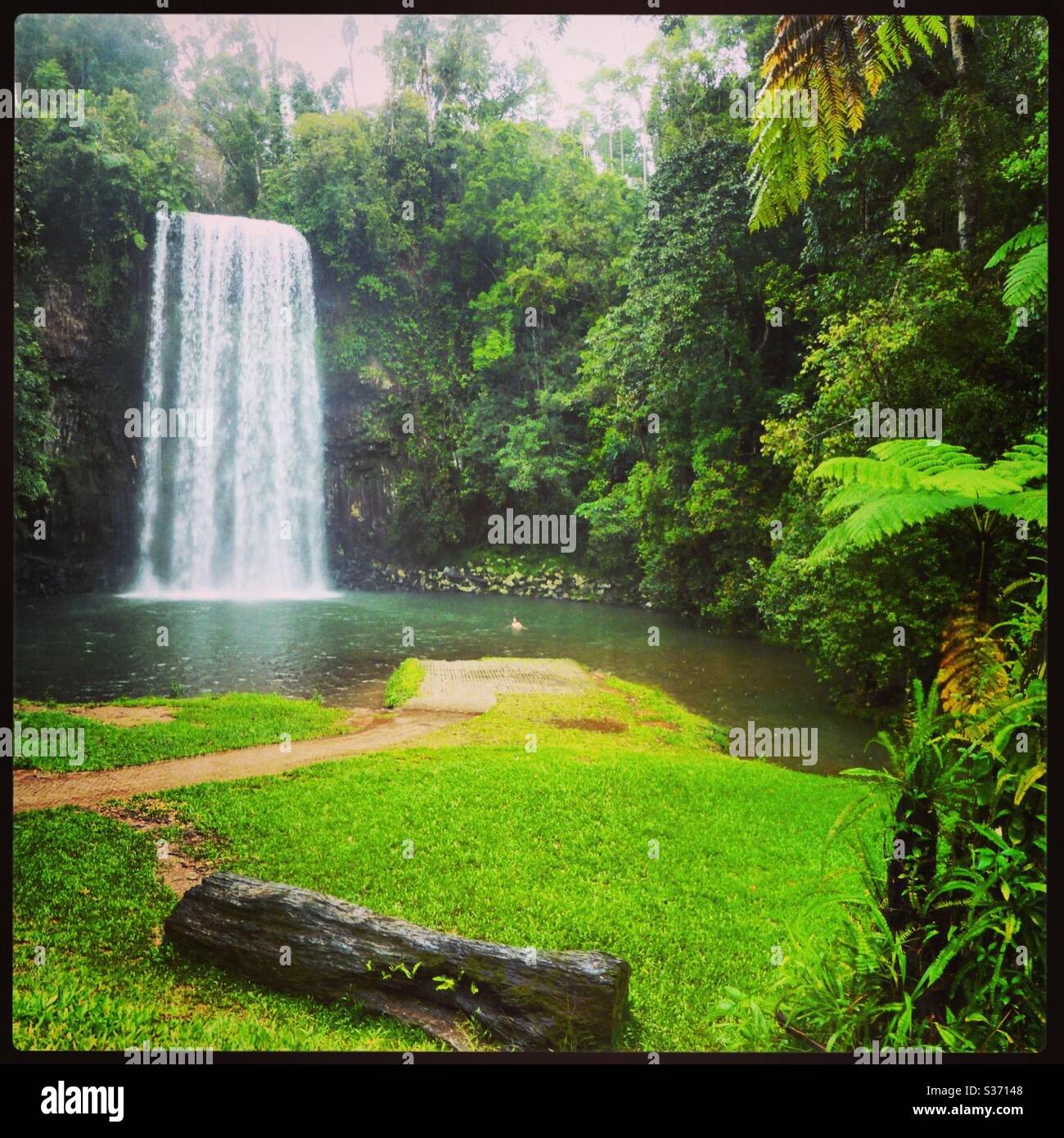 Milla Milla Falls High Resolution Stock Photography and Images - Alamy