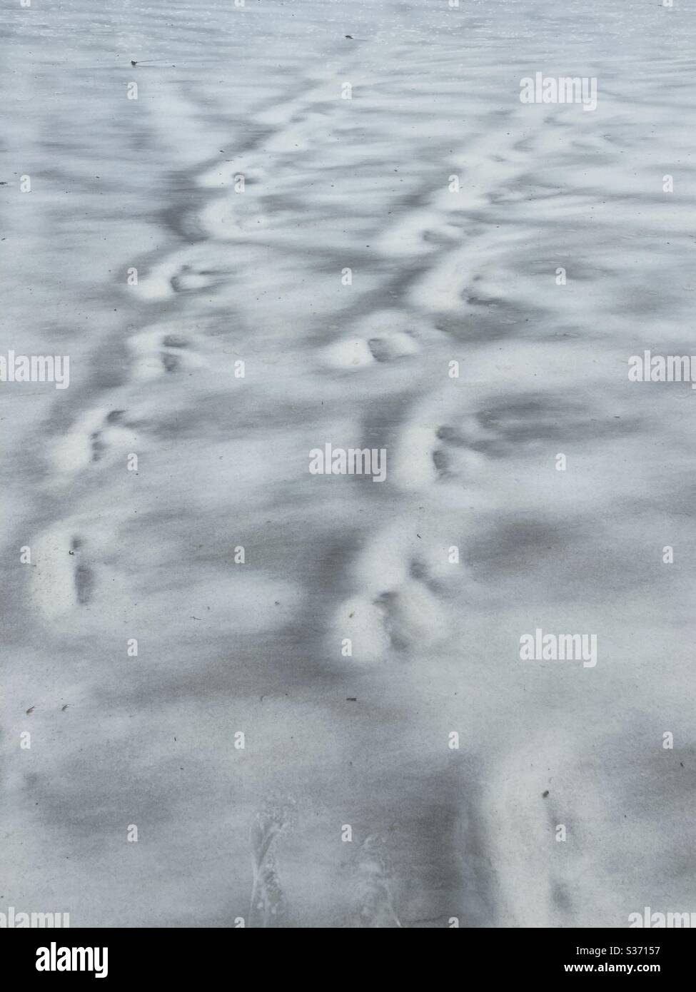 Sand pattern abstract background from blowing tropical storm winds on ...