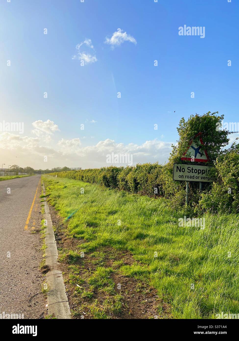 Overgrown road sign hi-res stock photography and images - Alamy