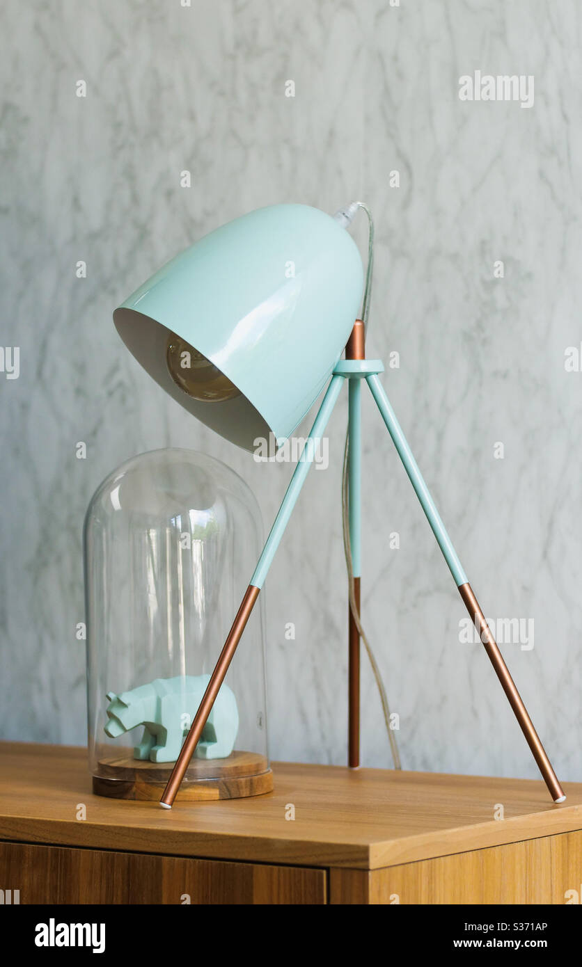 Bear home hi-res stock photography and images - Alamy