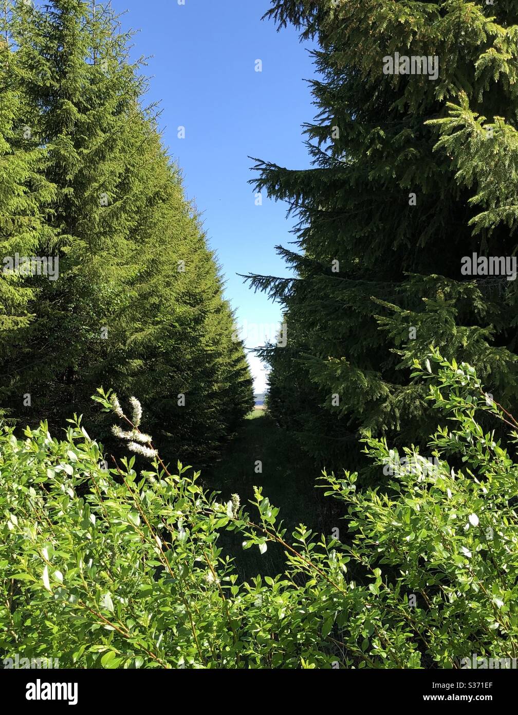 Beauty view hi-res stock photography and images - Alamy