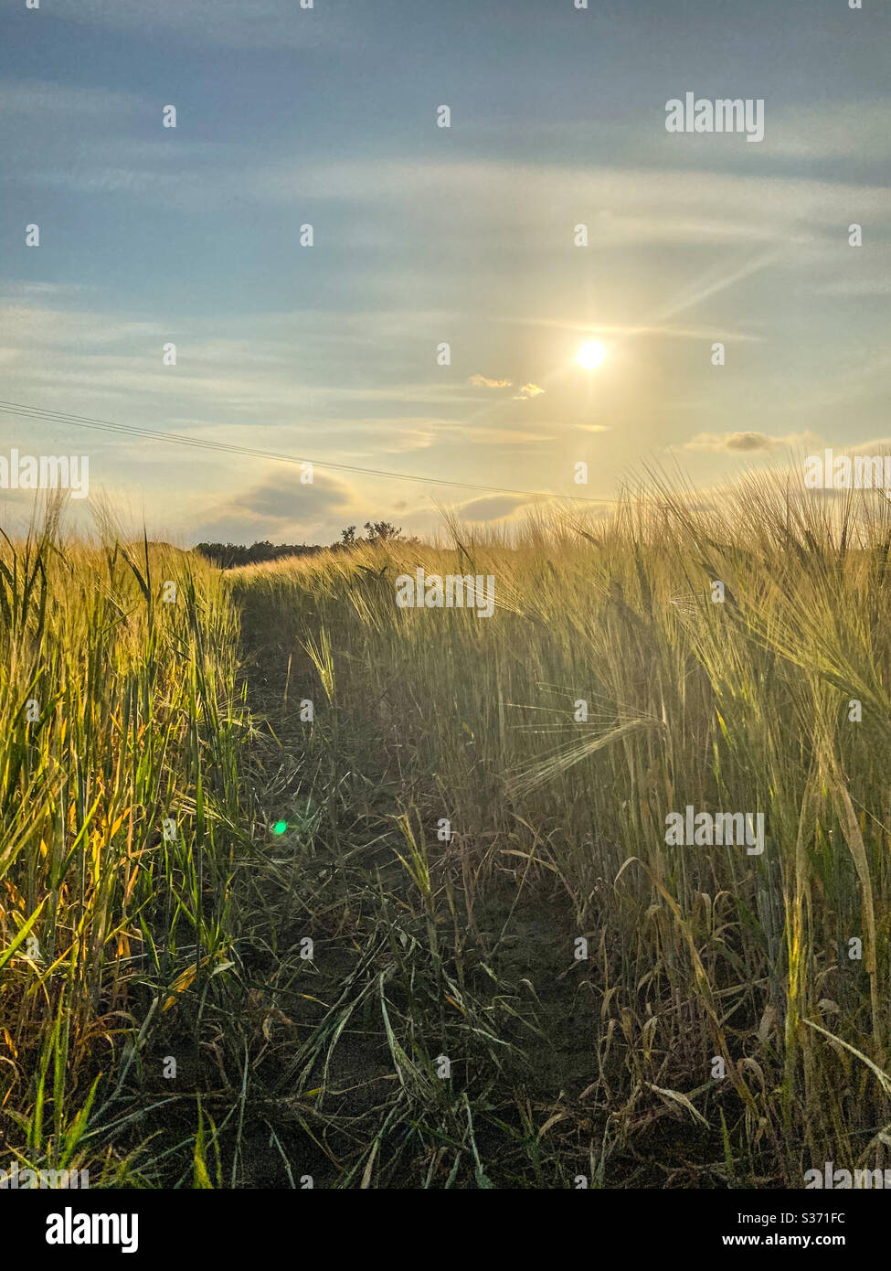 Sunshine and countryside hi-res stock photography and images - Alamy