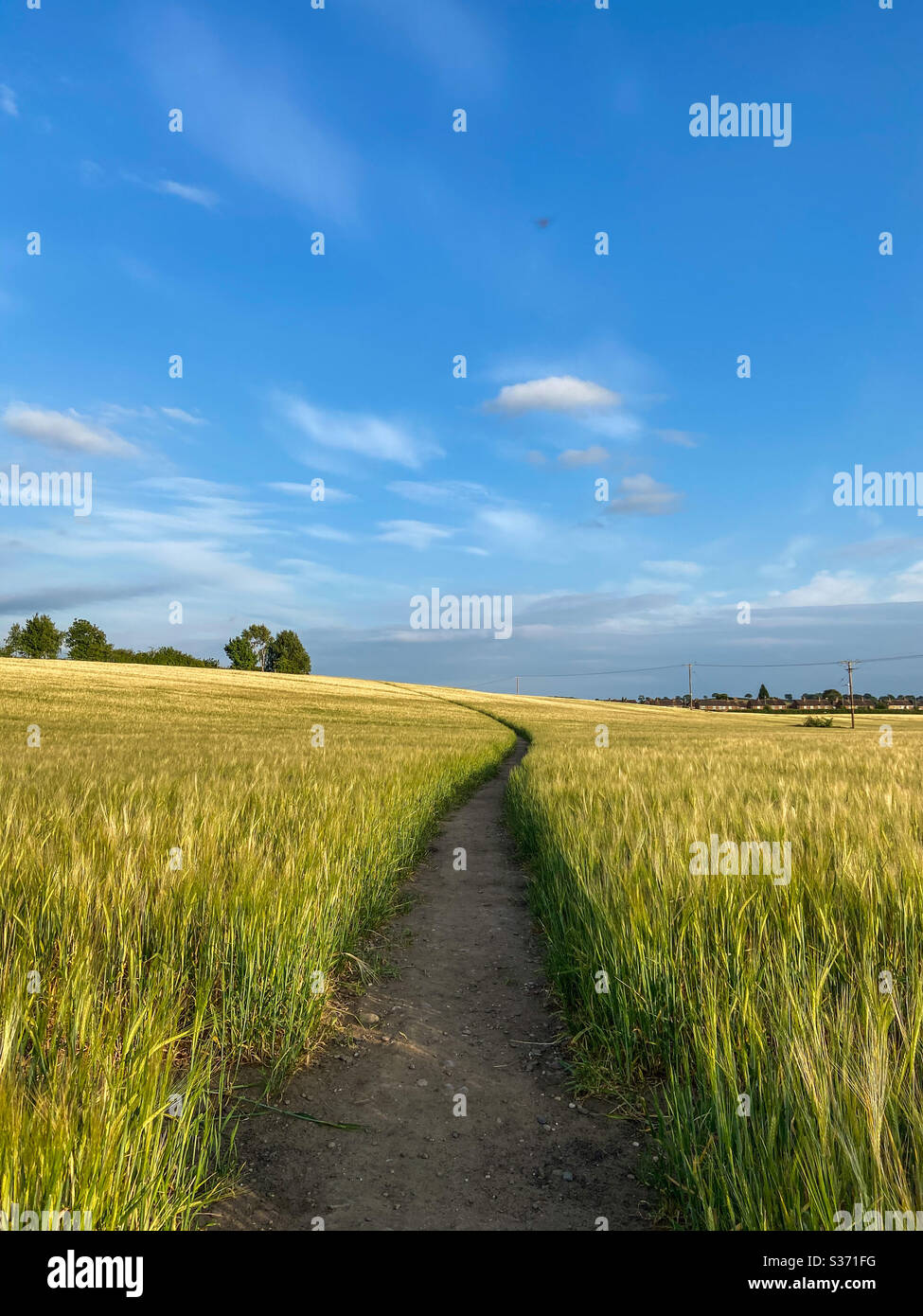 Countryside walk way hi-res stock photography and images - Alamy