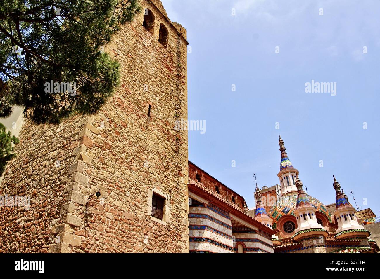 Llorer de mar hi-res stock photography and images - Alamy