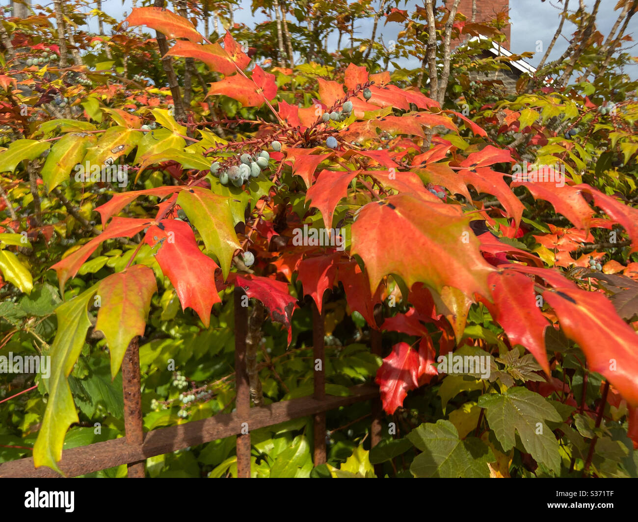 Live colours hi-res stock photography and images - Alamy