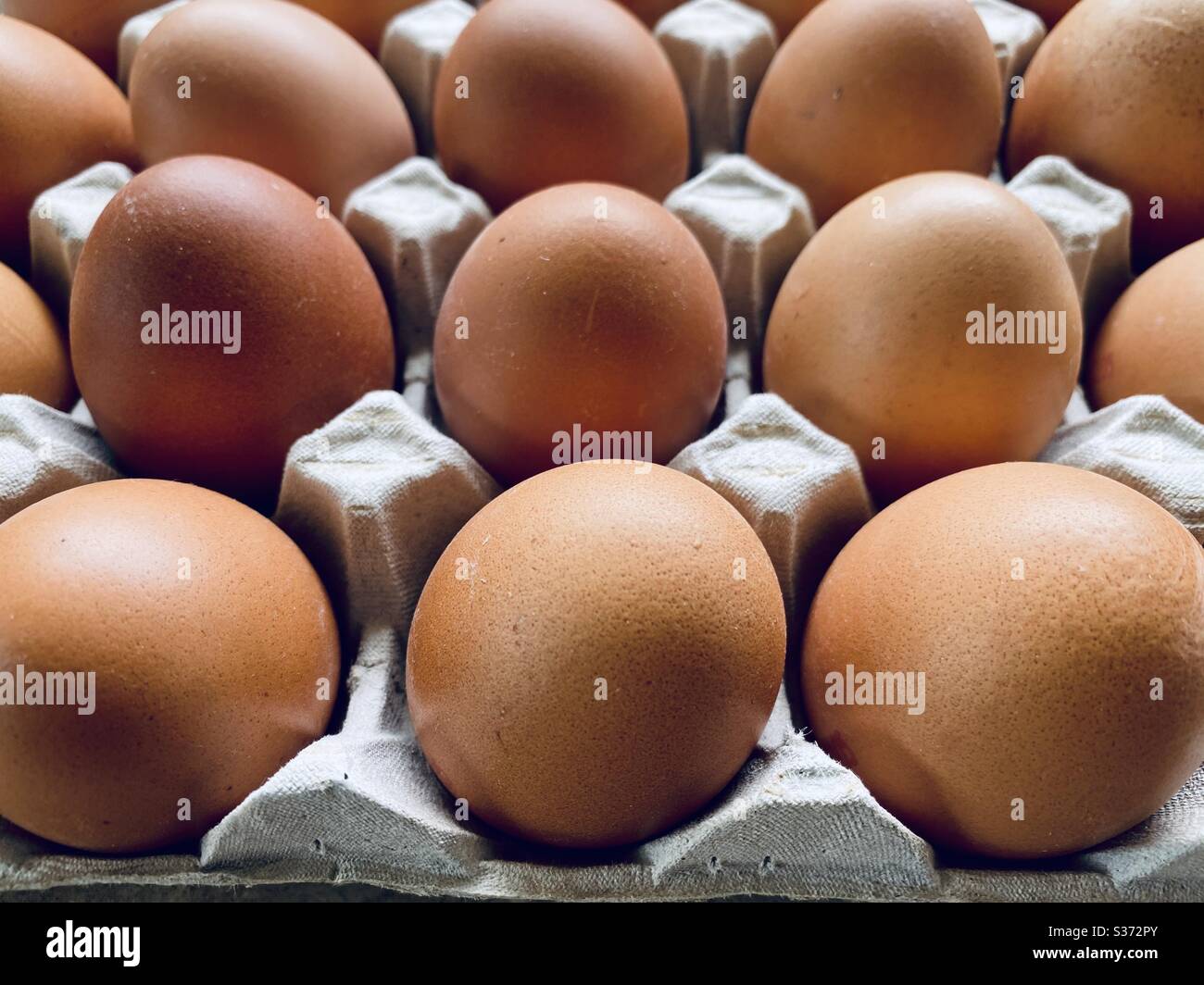 Closeup view of free range organic farm eggs in a traditional ...