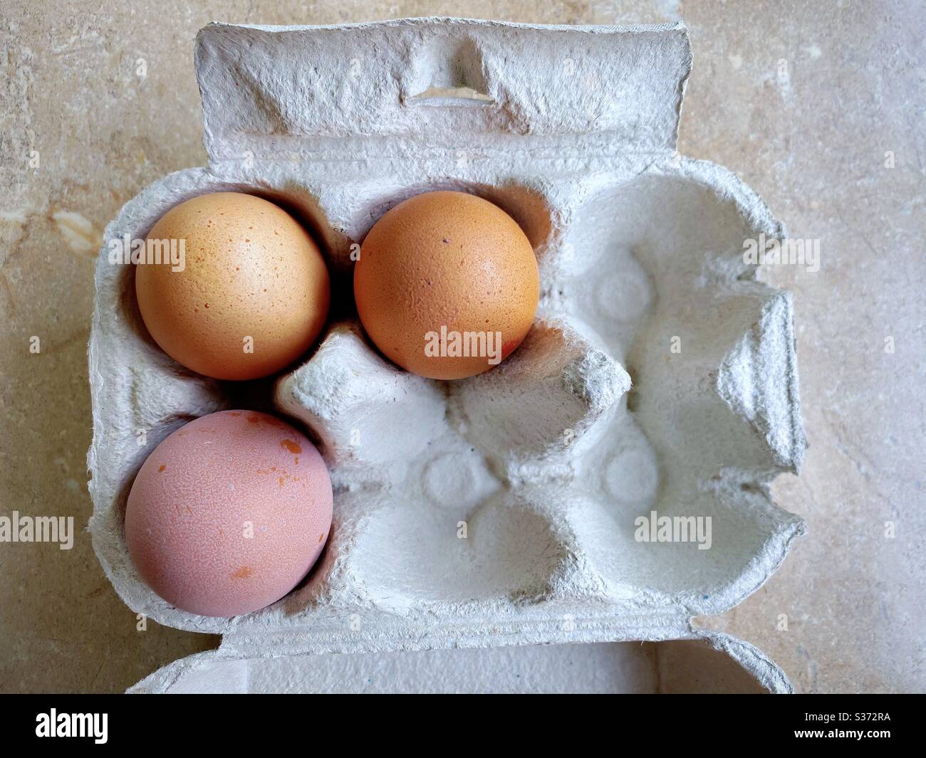 Closeup view of free range organic farm eggs in a traditional ...