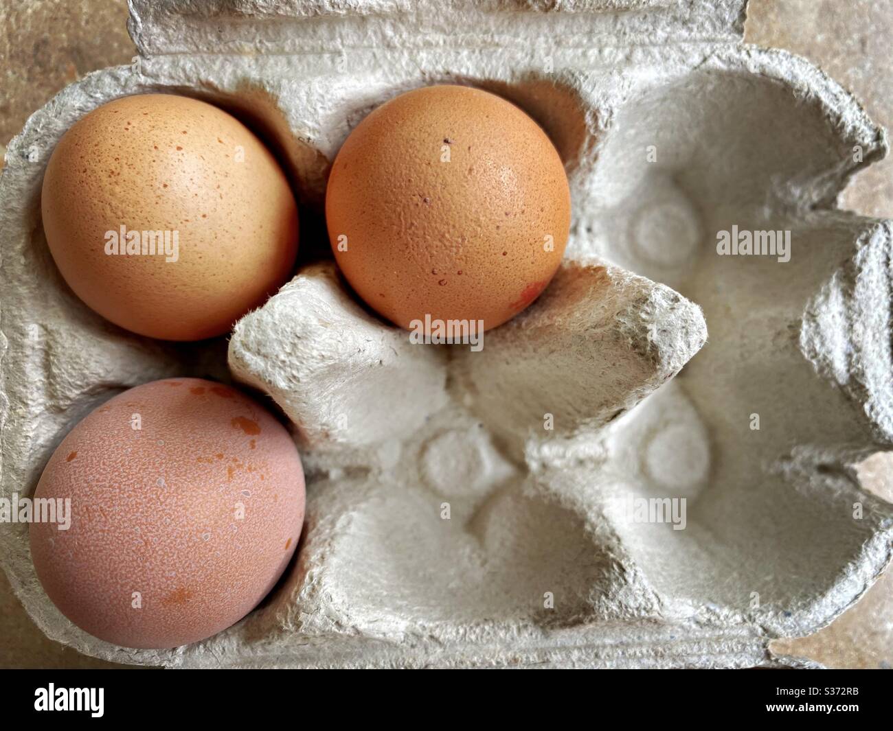 Closeup view of free range organic farm eggs in a traditional ...