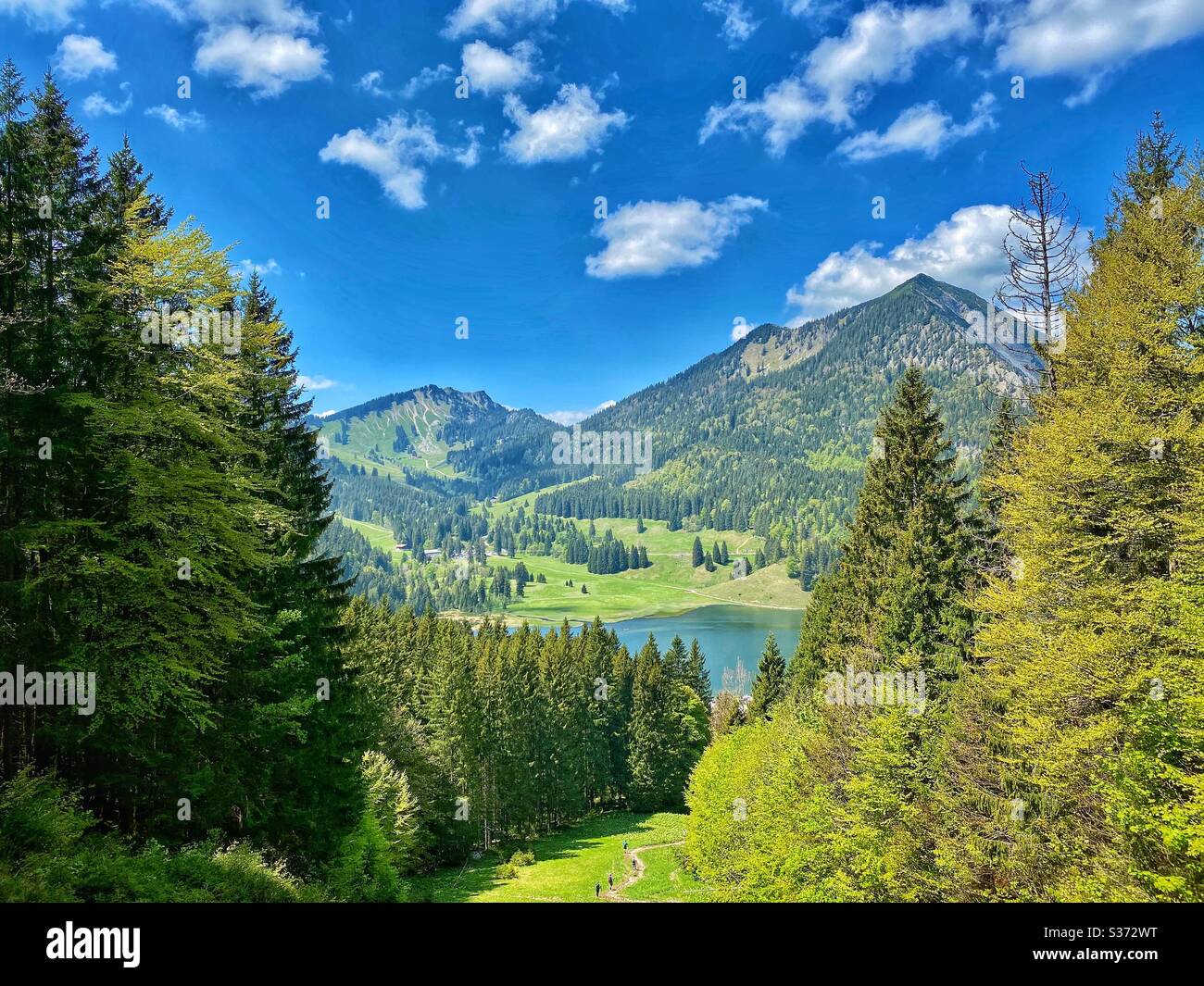 View at lake Spitzingsee in Bavarian Alps Stock Photo - Alamy