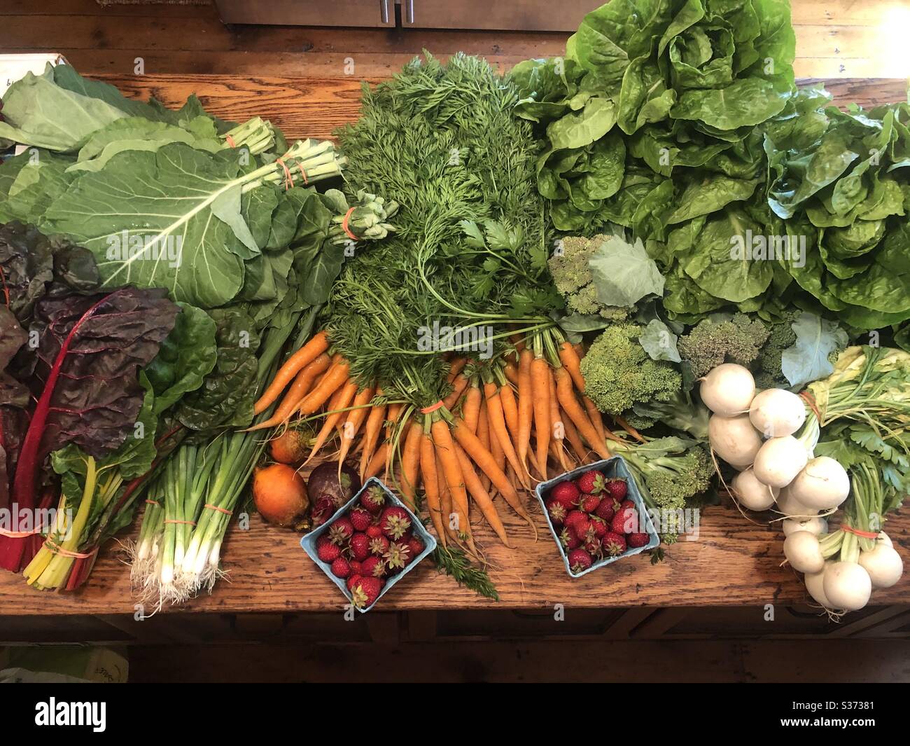 Self produce hi-res stock photography and images - Alamy