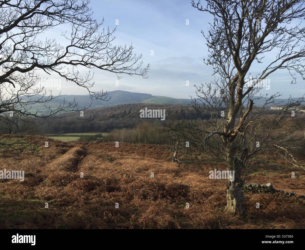 Welsh landscape hi-res stock photography and images - Alamy