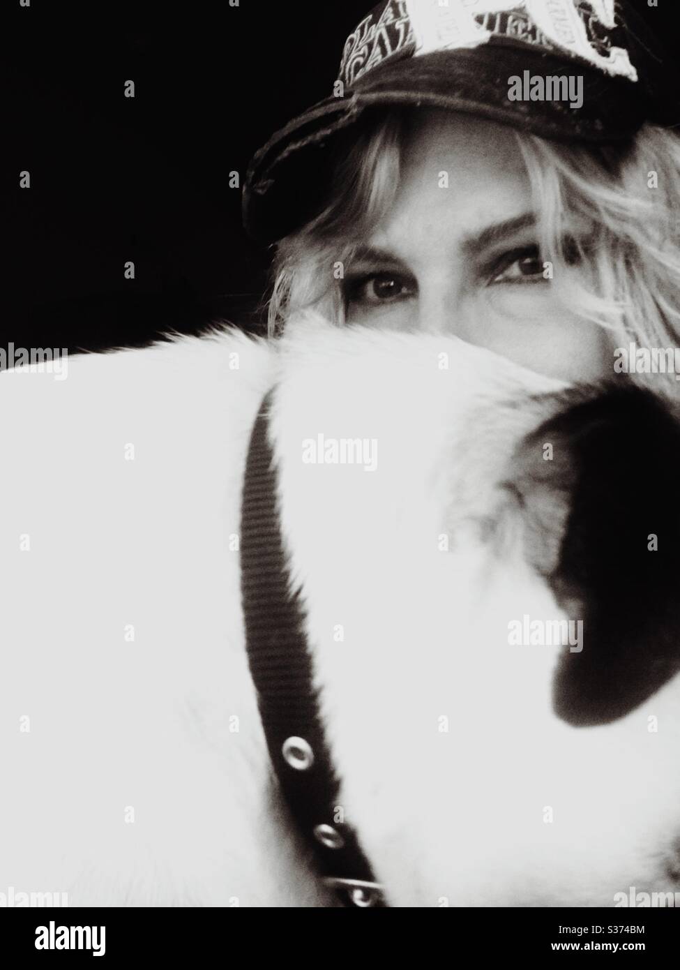 Canine protector hi-res stock photography and images - Alamy